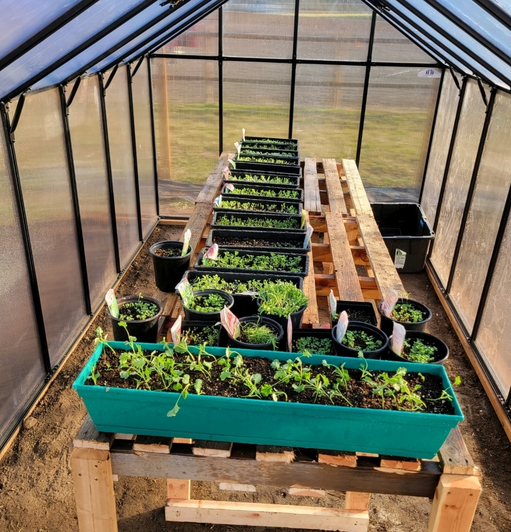 Community Garden - UYLC